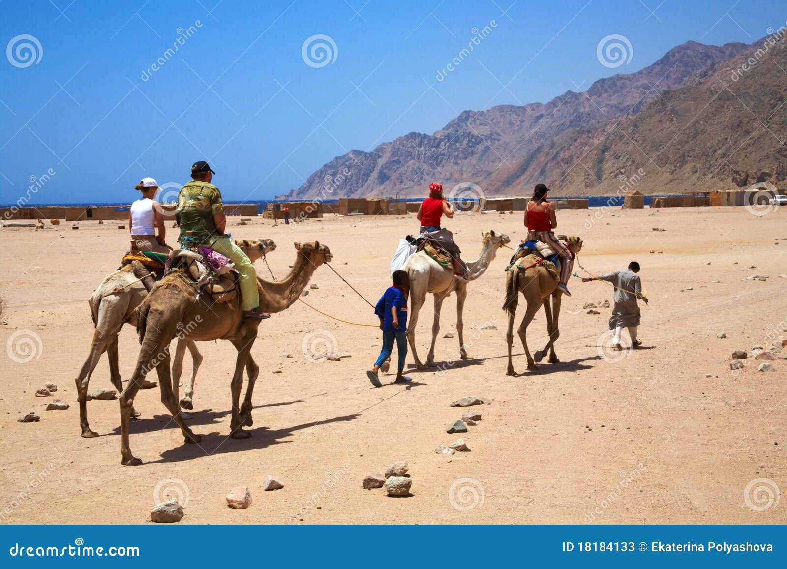 Het Berijden Van De Kameel Excursie, Egypte Redactionele Stock Foto ...