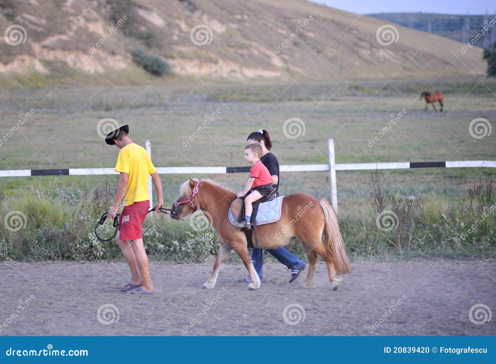 Het Berijden Van Het Kind Poney Redactionele Afbeelding - Image of ...