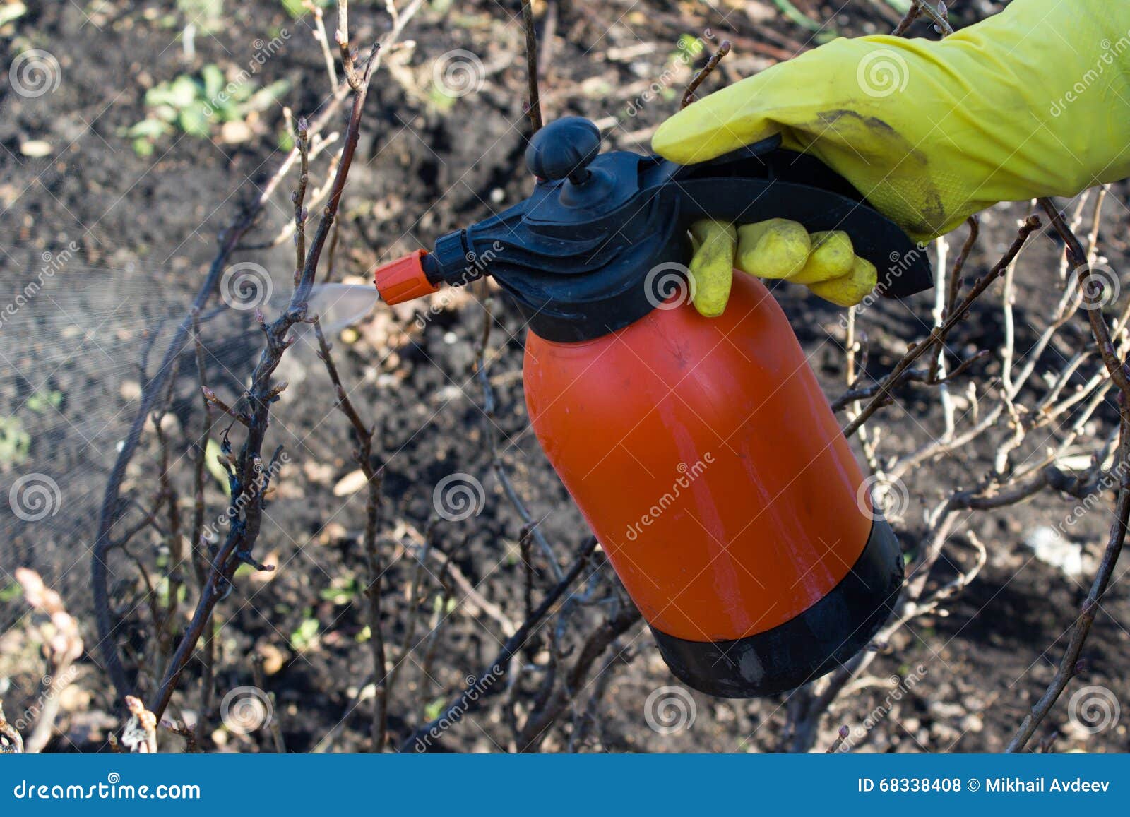 Het Beschermen Van Installatie Tegen Ongedierte Stock Foto - Image of ...