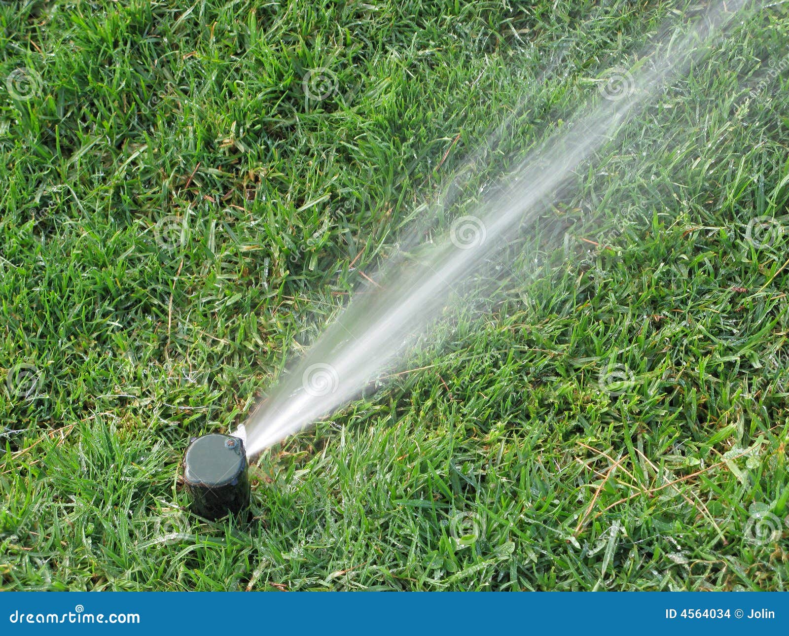 Het Bespuitende Water Van De Sproeier Op Gras Stock Foto - Image of ...