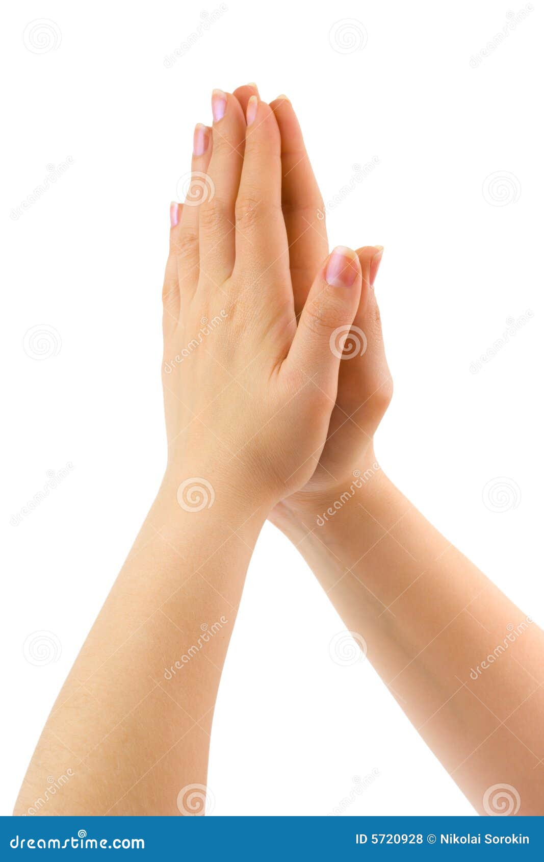 Het bidden handen stock foto. Image of menselijk, onschuld - 5720928