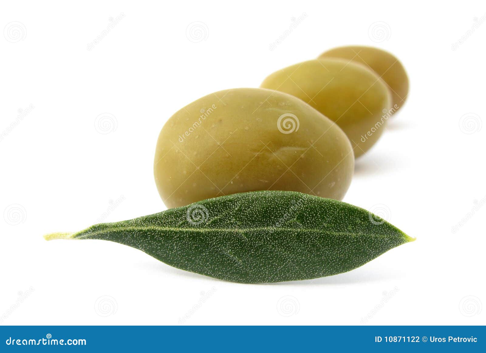 Het Blad En De Vruchten Van De Olijf Stock Foto - Image of besnoeiing ...