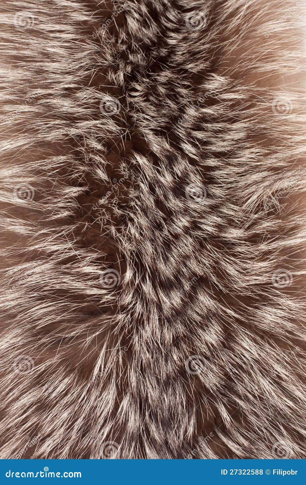 Het bont van de vos stock foto. Image of huid, dier, macro - 27322588