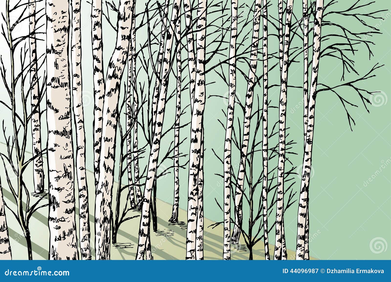 Het bosje van de berk vector illustratie. Illustration of steel - 44096987