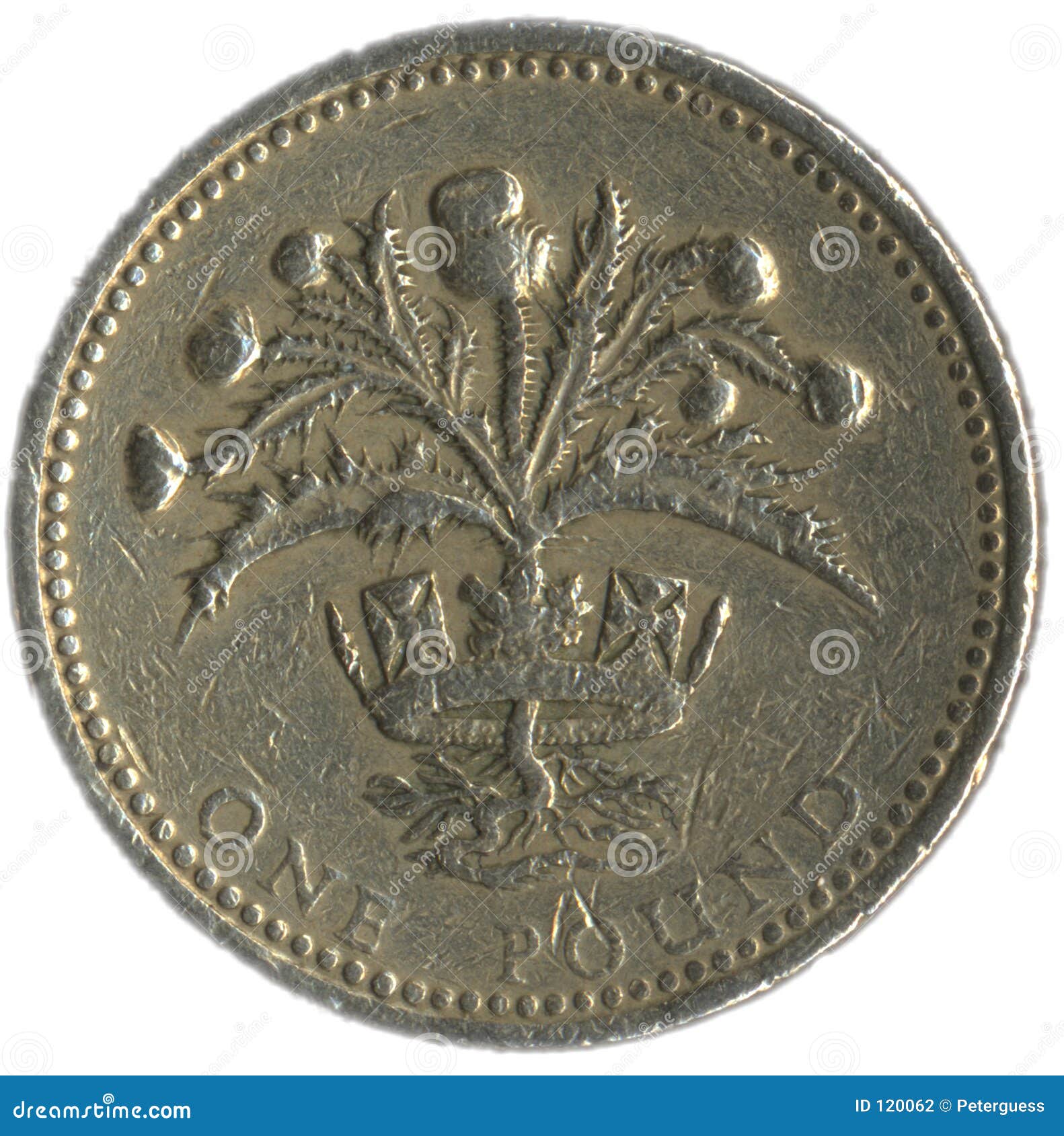 Het Britse Muntstuk Van Het Pond Stock Foto - Image of pond, engeland ...