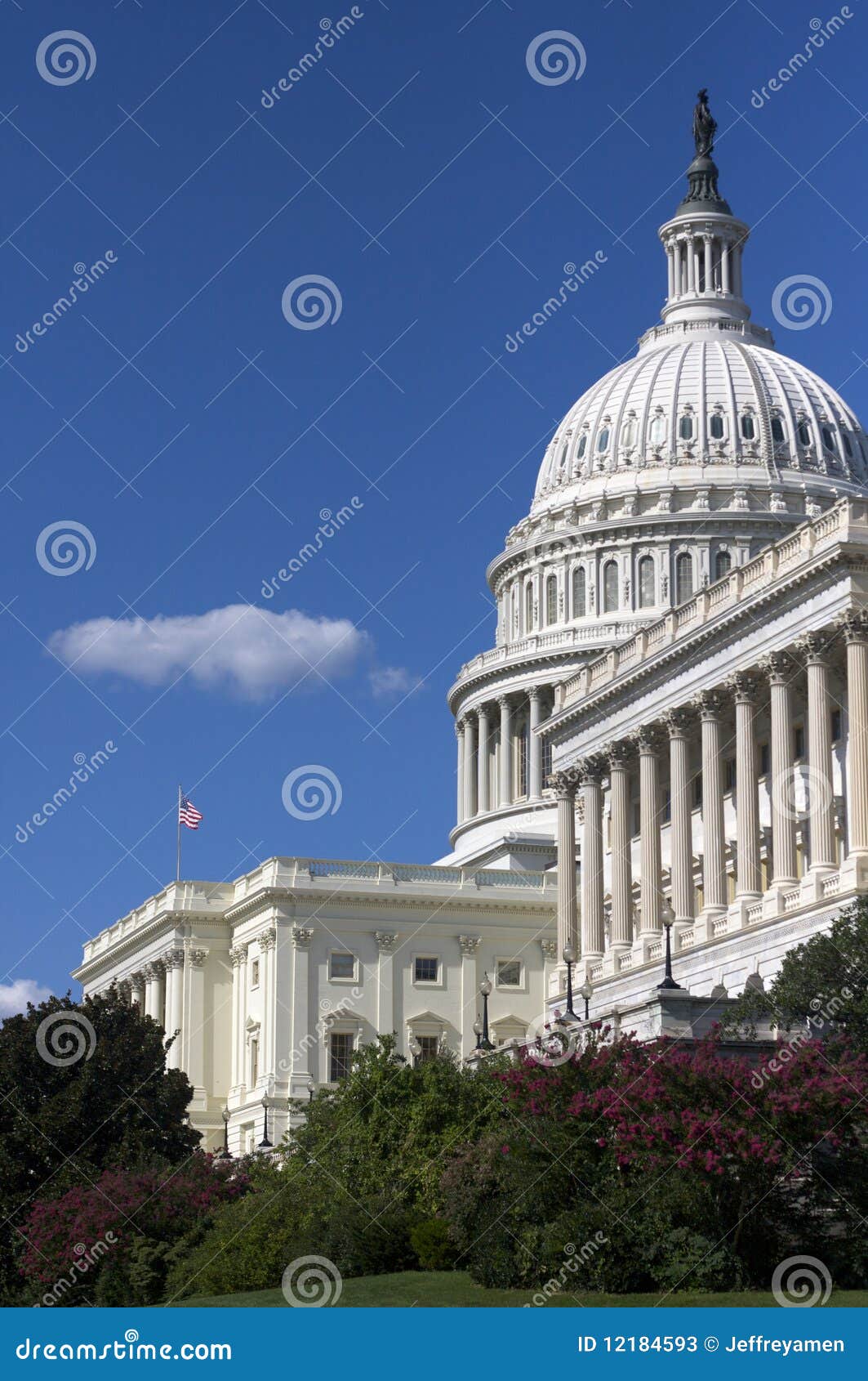 Het Capitool Van De V.S. in Washington DC Stock Afbeelding - Image of ...