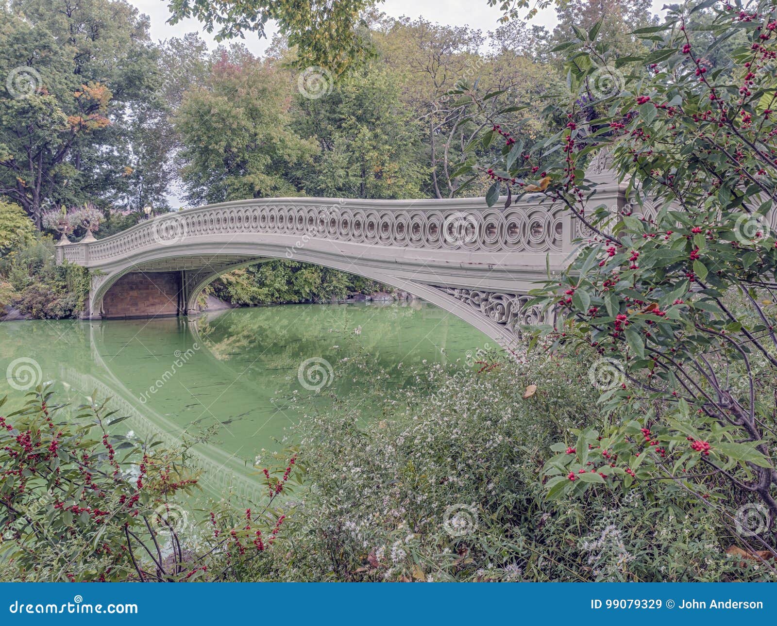 Het Central Park Van De Boogbrug Stock Afbeelding - Image of toerisme ...