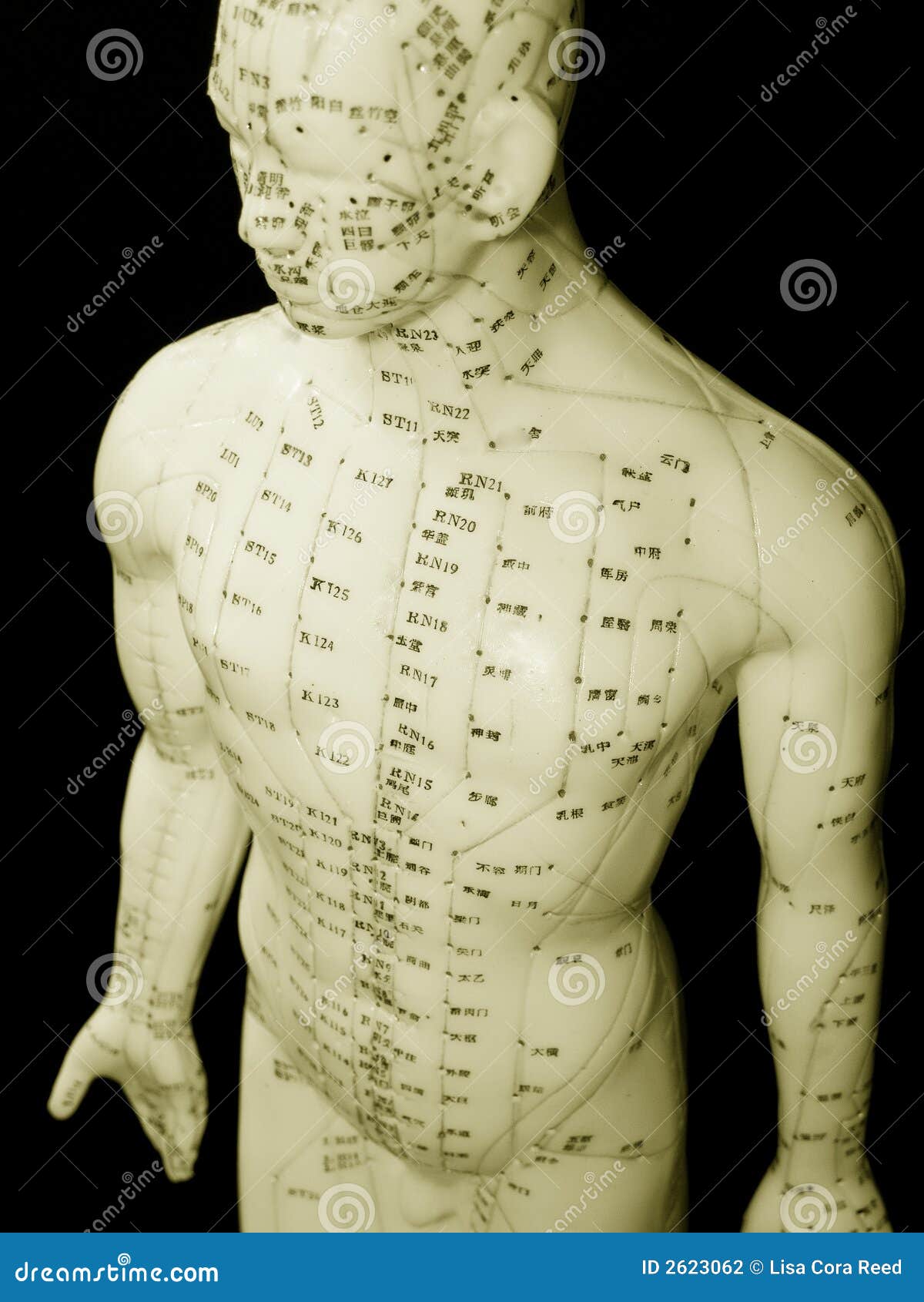 Het Concept Van De Acupunctuur Stock Foto - Image of therapeut, sluit ...