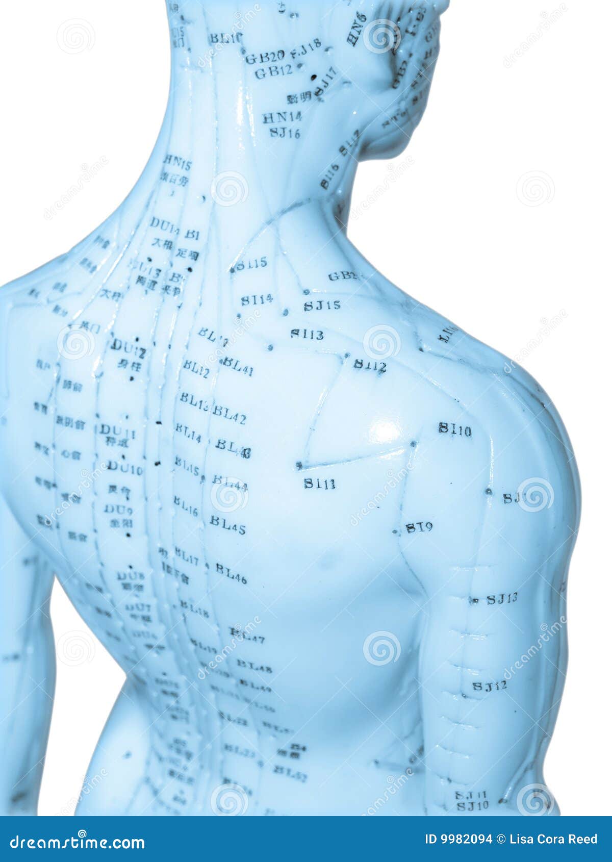 Het Concept Van De Acupunctuur Stock Foto - Image of therapeut ...