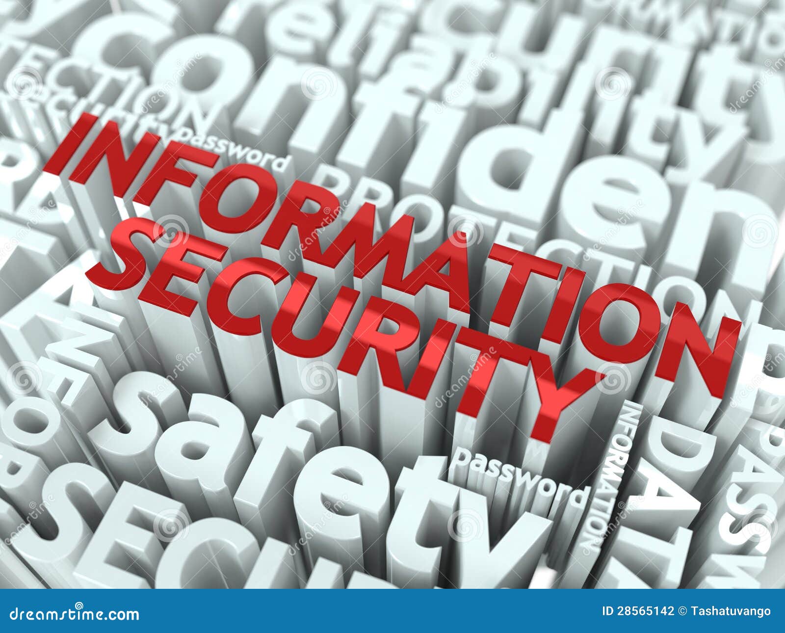 Het Concept Van De Informatiebeveiliging. Stock Illustratie ...