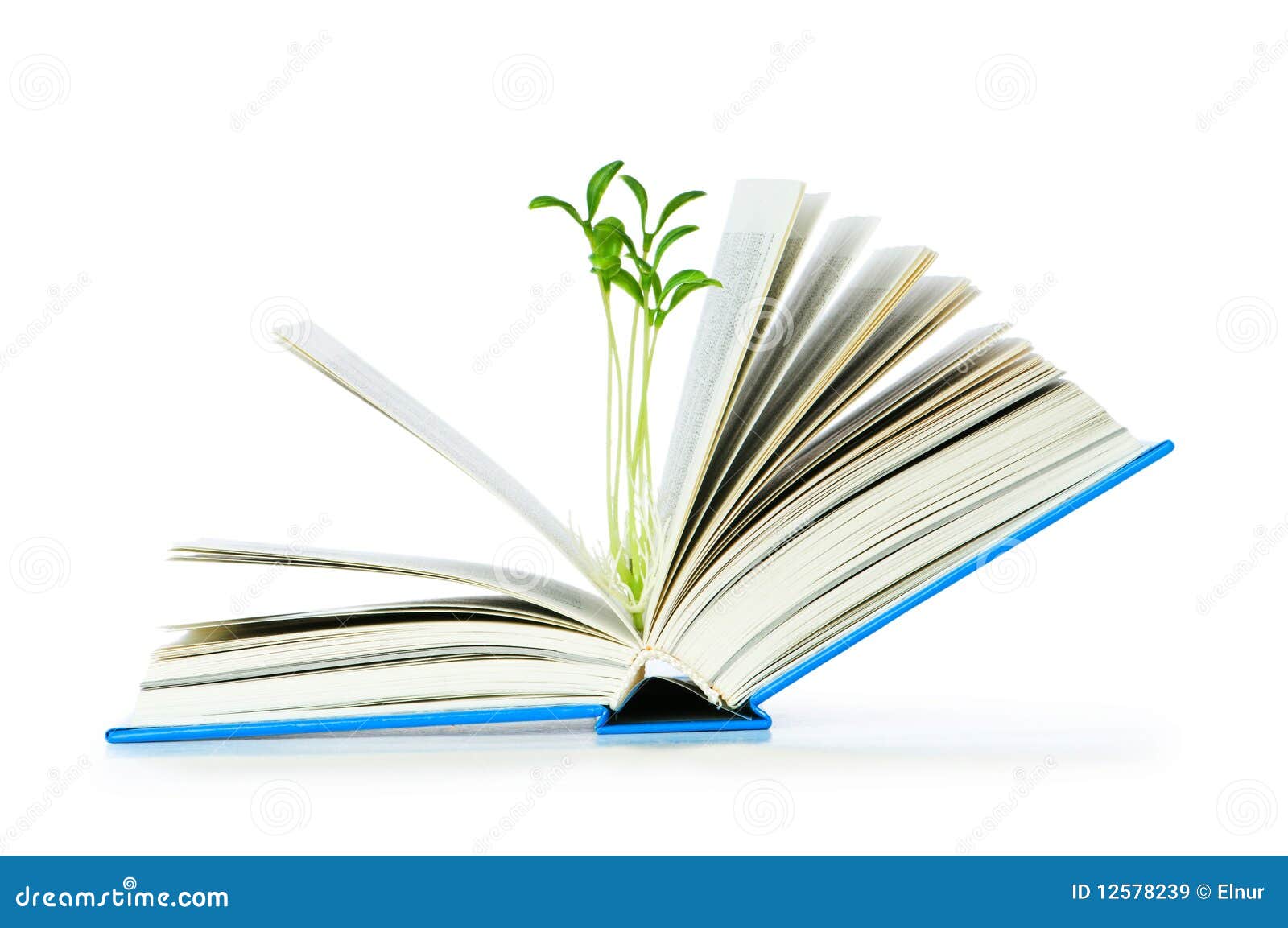 Het Concept Van De Kennis Met Boeken Stock Afbeelding - Image of ...