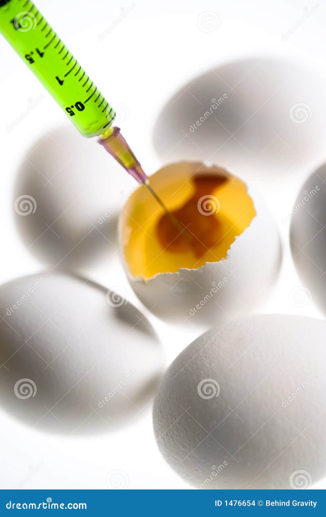 Het concept van het ei stock foto. Image of sluit, macro - 1476654