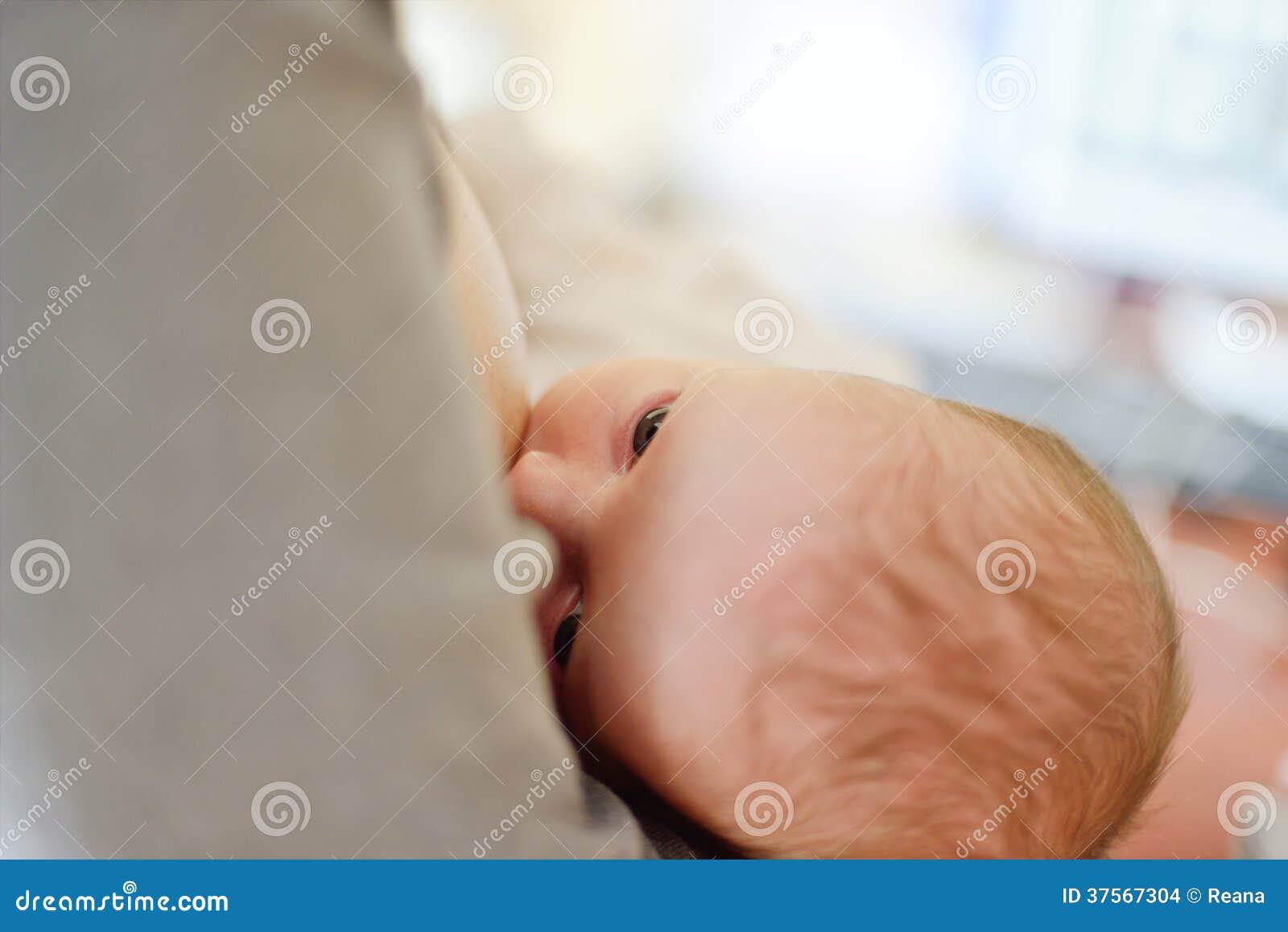 Het de borst geven stock foto. Image of omhelzing, schoonheid - 37567304