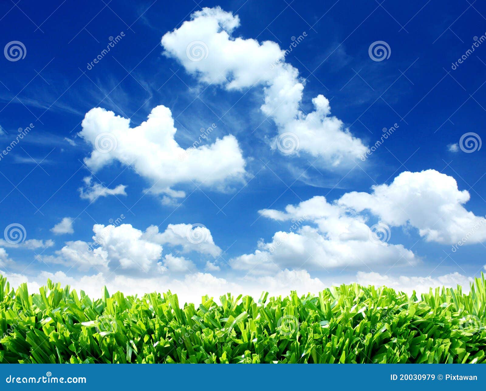 Het De Groene Wolken En Gras Van De Hemel Van De Aard Eco Stock ...