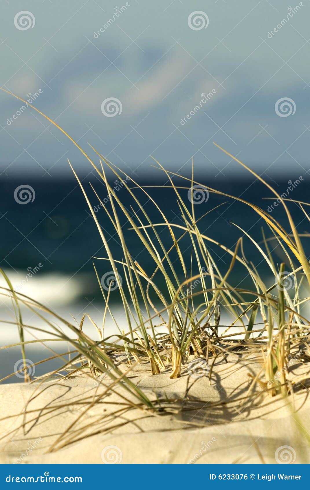 Het Duin Van Het Zand Op Strand Stock Foto - Image of strand, tropisch ...
