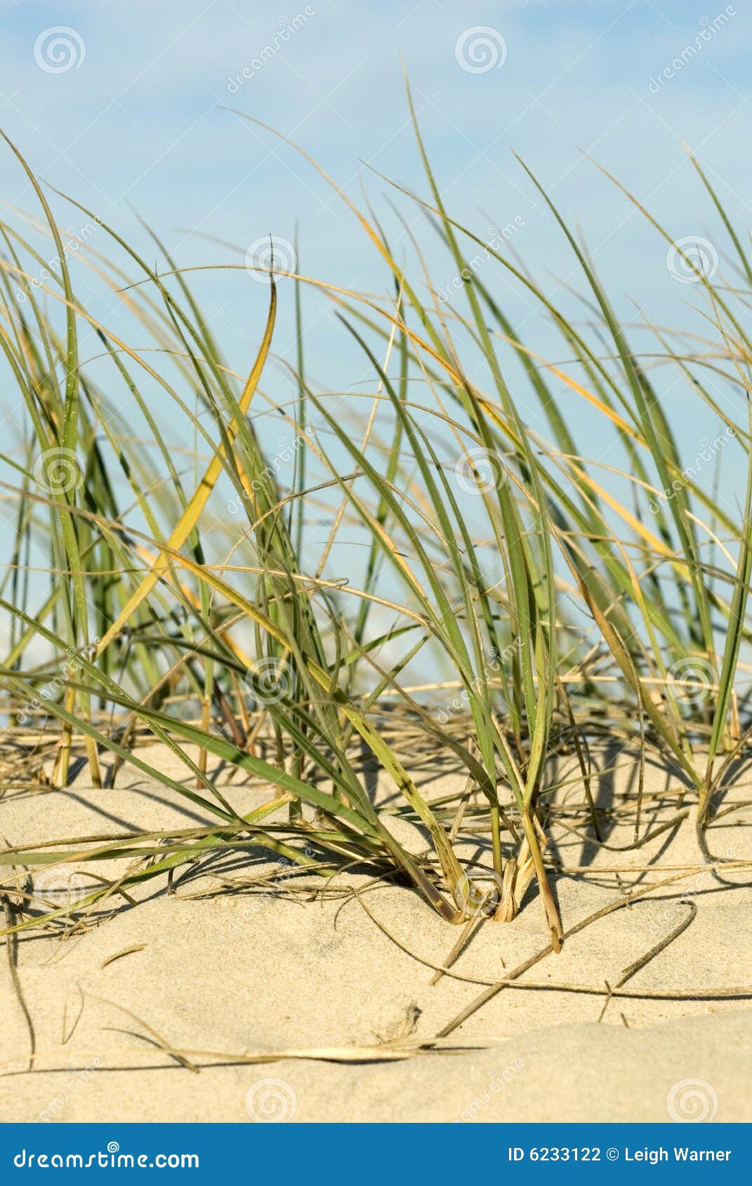 Het Duin Van Het Zand Op Strand Stock Foto - Image of water, zand: 6233122