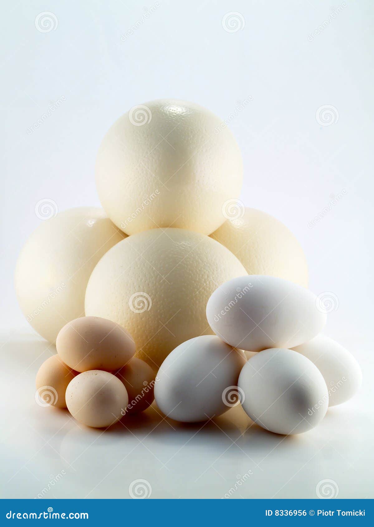 Het Ei Van De Struisvogel, Van De Gans En Van De Kip Stock Foto - Image ...