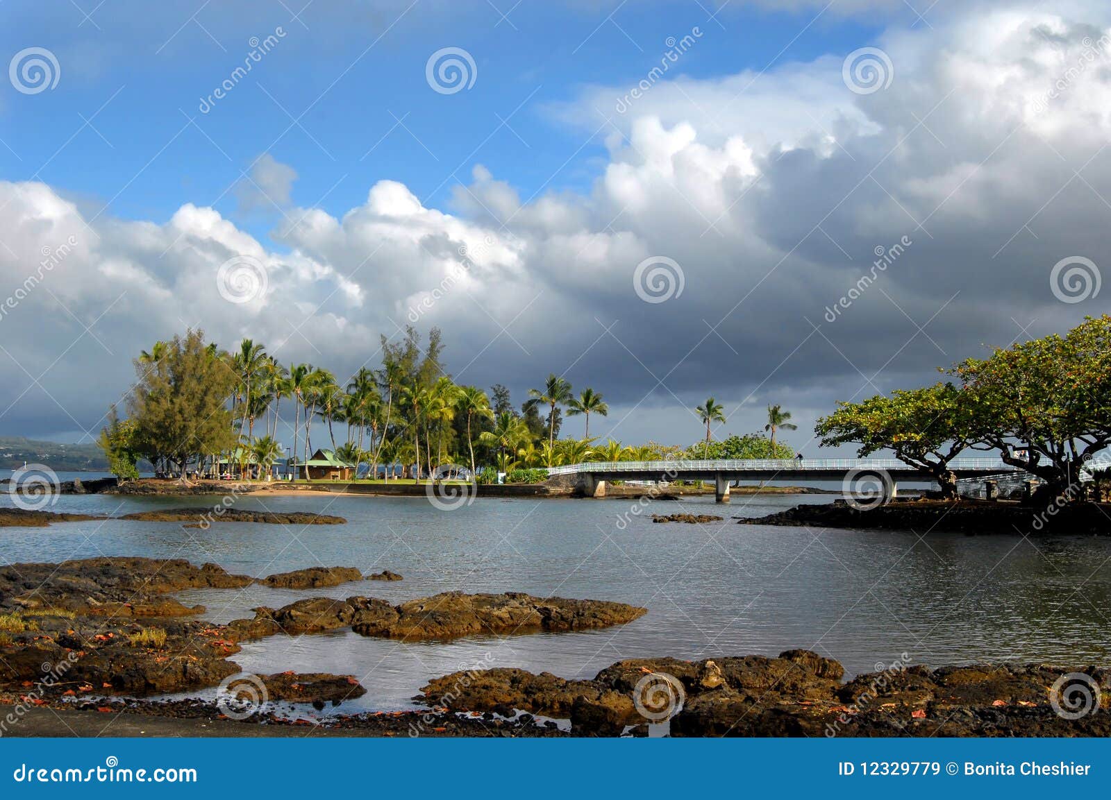 Het Eiland Van De Kokosnoot Op Groot Eiland Stock Afbeelding - Image of ...