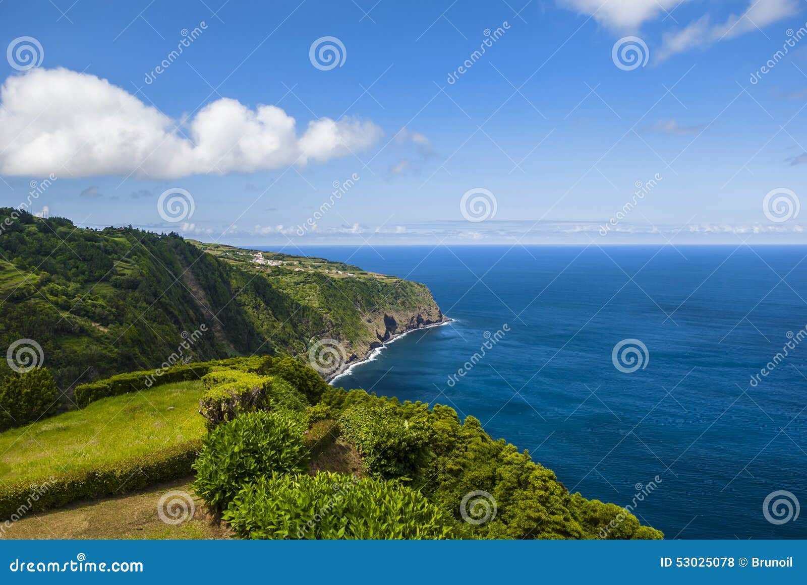 Het Eiland Van Flores, De Azoren Stock Foto - Image of struik, kust ...
