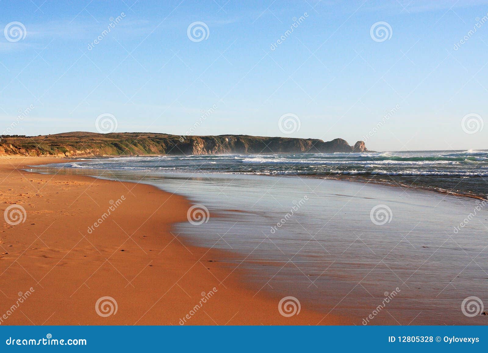 Het eiland van Phillip stock foto. Image of weinig, wereld - 12805328