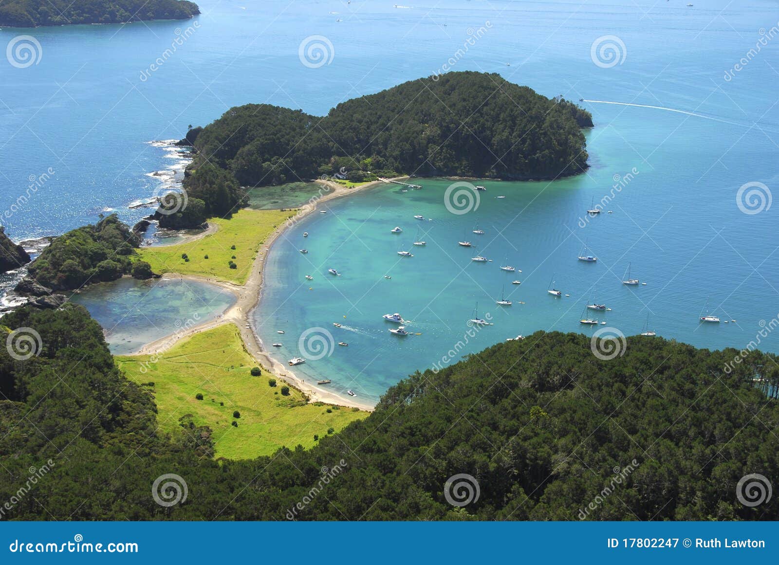 Het Eiland Van Roberton - Baai Van Eilanden, Nieuw Zeeland Stock ...