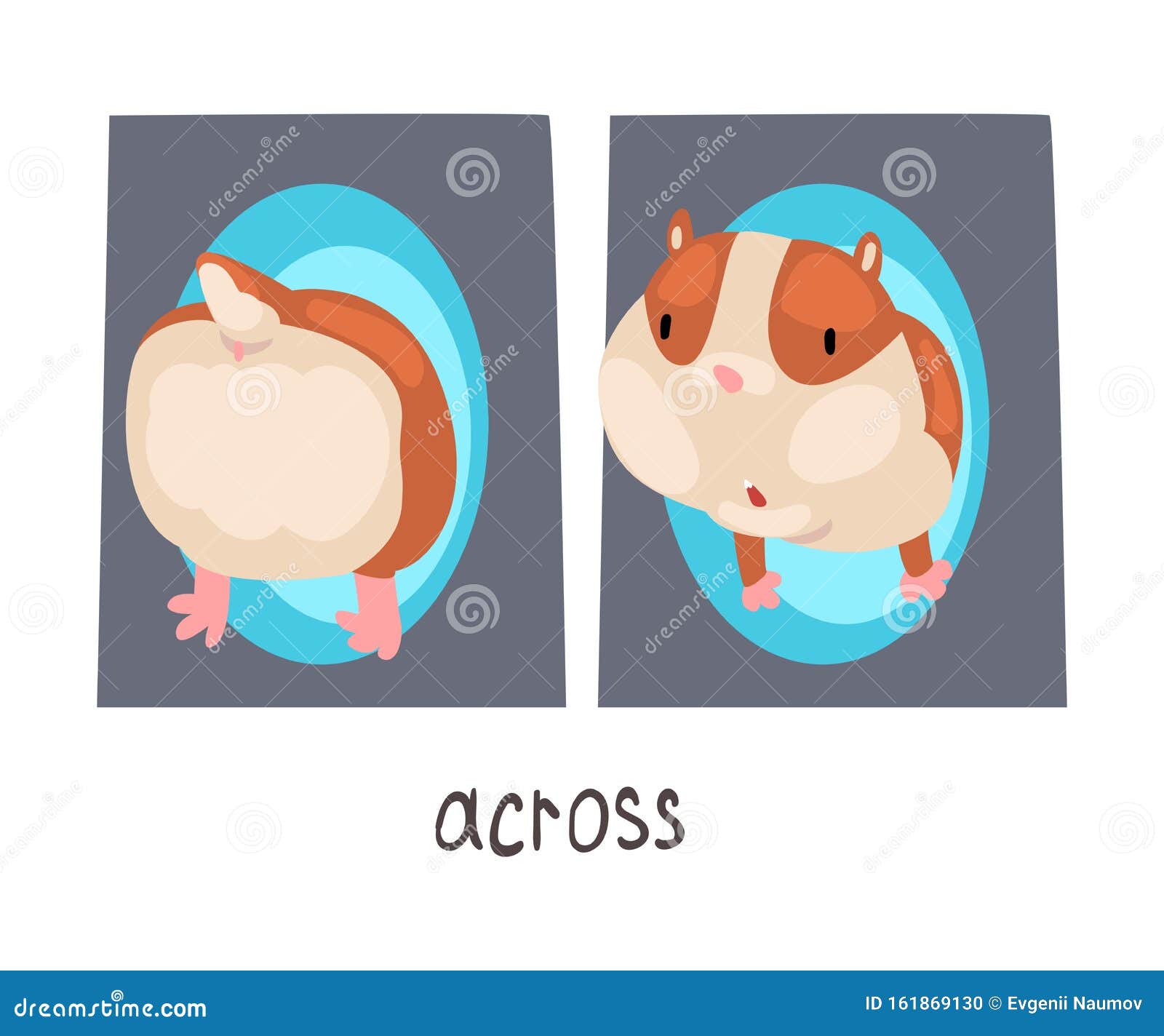 In Het Engels Language Preposition and Cute Hamster Character ...