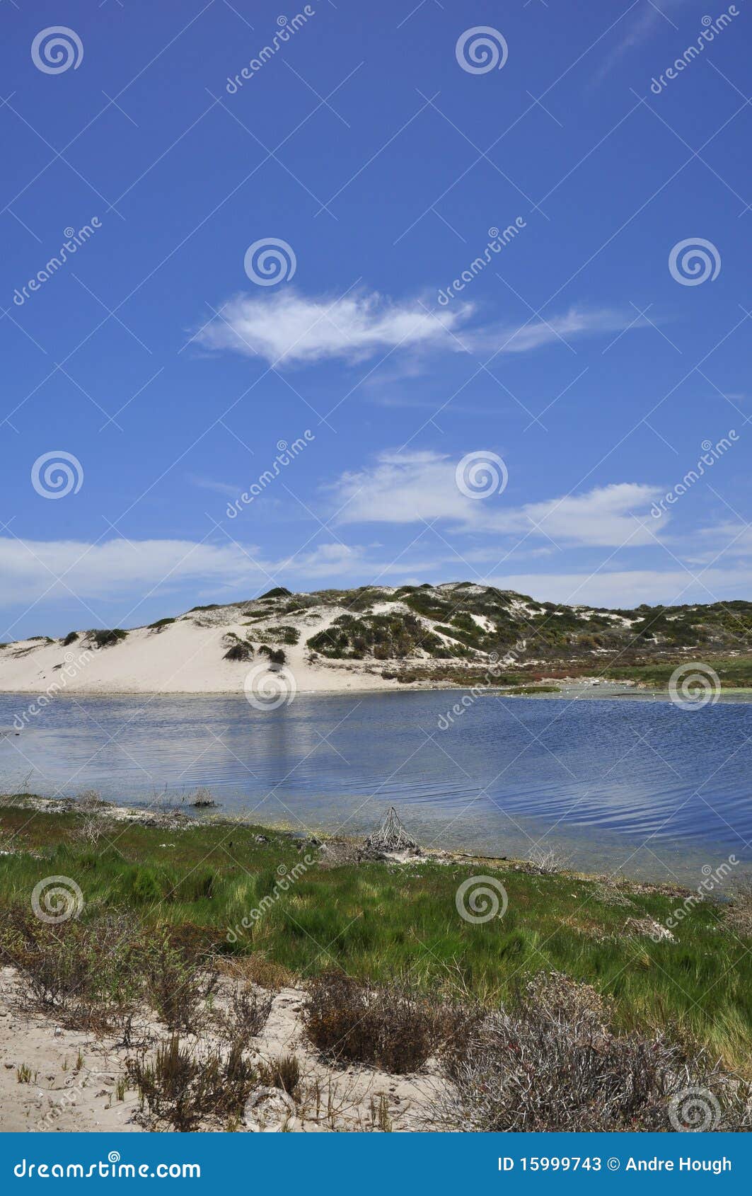 Het Estuarium Van Papendorp Stock Afbeelding - Image of nave, strand ...
