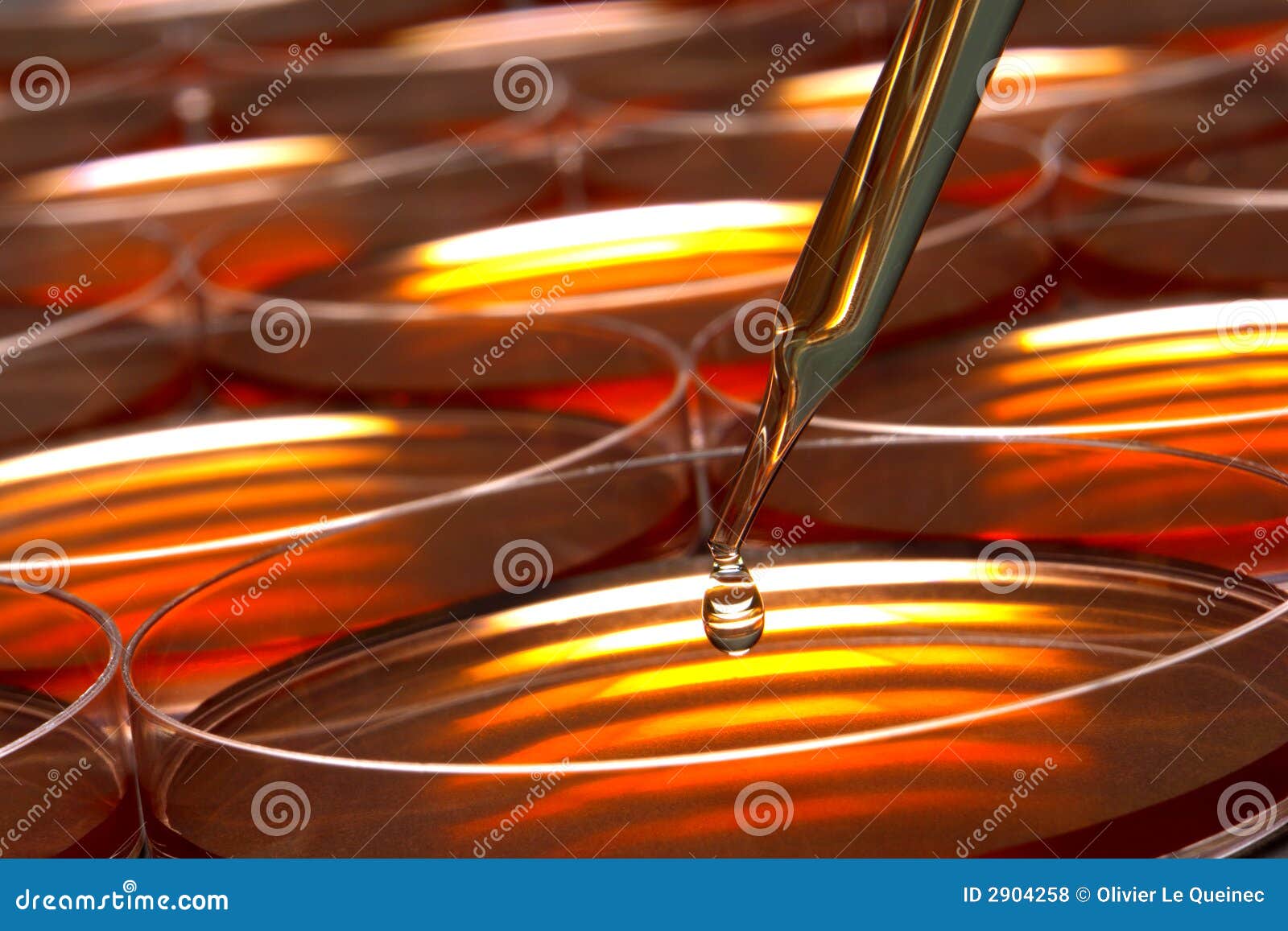 Het Experiment Van Het Laboratorium Van De Wetenschap Stock Foto ...