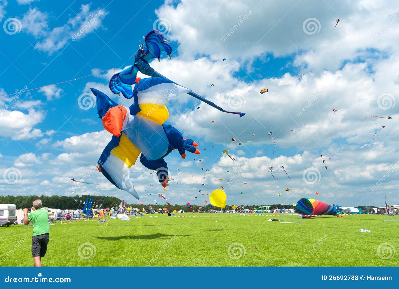 Het Festival Van De Vlieger Redactionele Stock Foto - Image of mooi ...