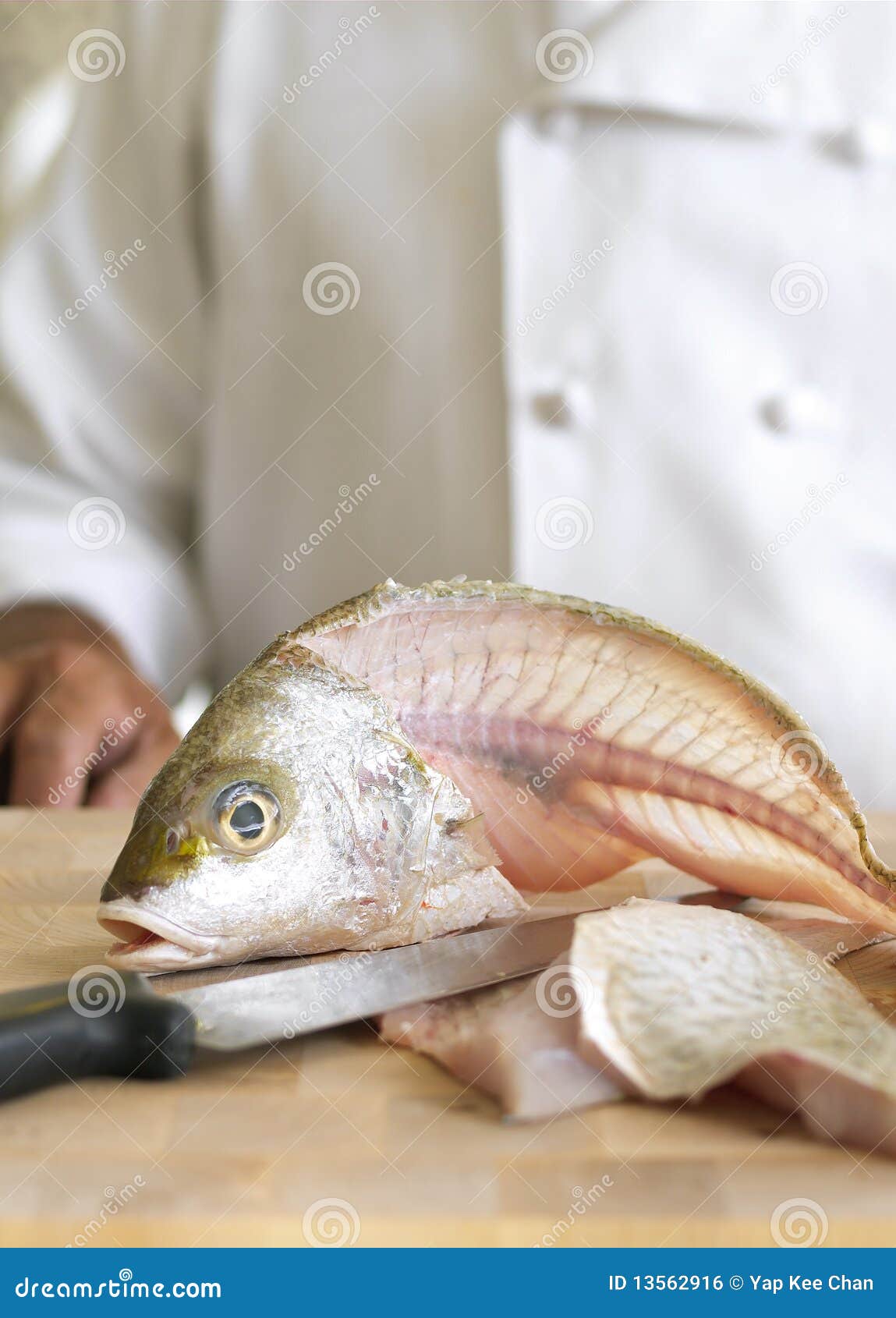 Het fileren Vissen stock foto. Image of nave, markt, diner - 13562916