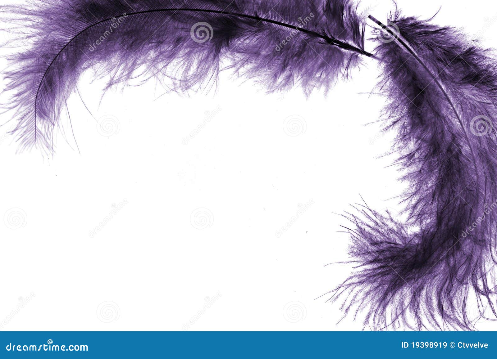 Het frame van de pluim stock afbeelding. Image of geïsoleerd - 19398919