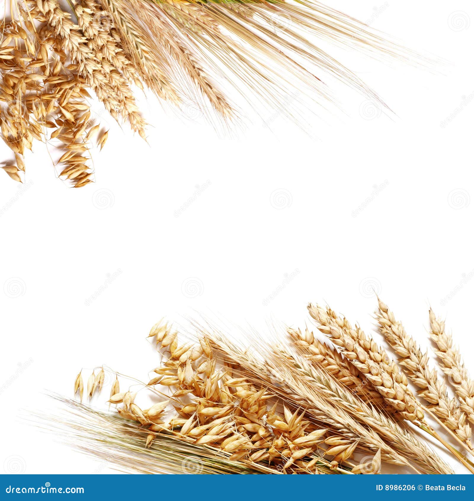 Het frame van de tarwe stock foto. Image of landelijk - 8986206