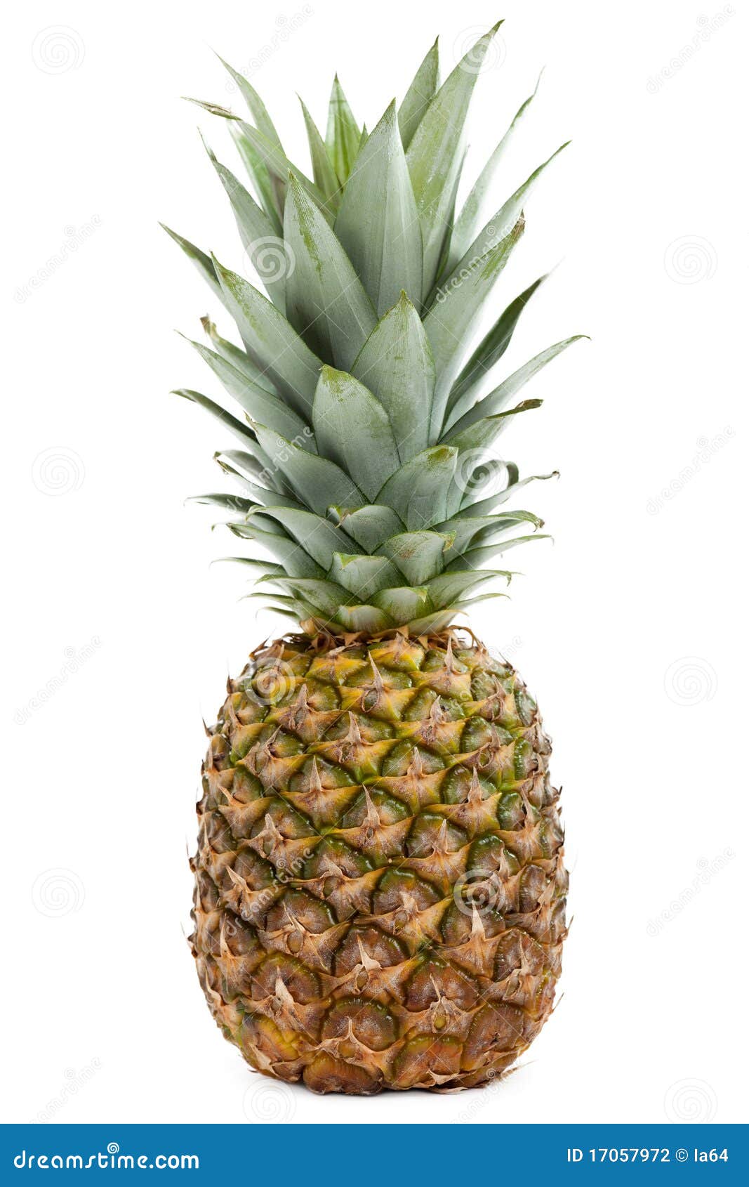 Het fruit van de ananas stock foto. Image of fotografie - 17057972