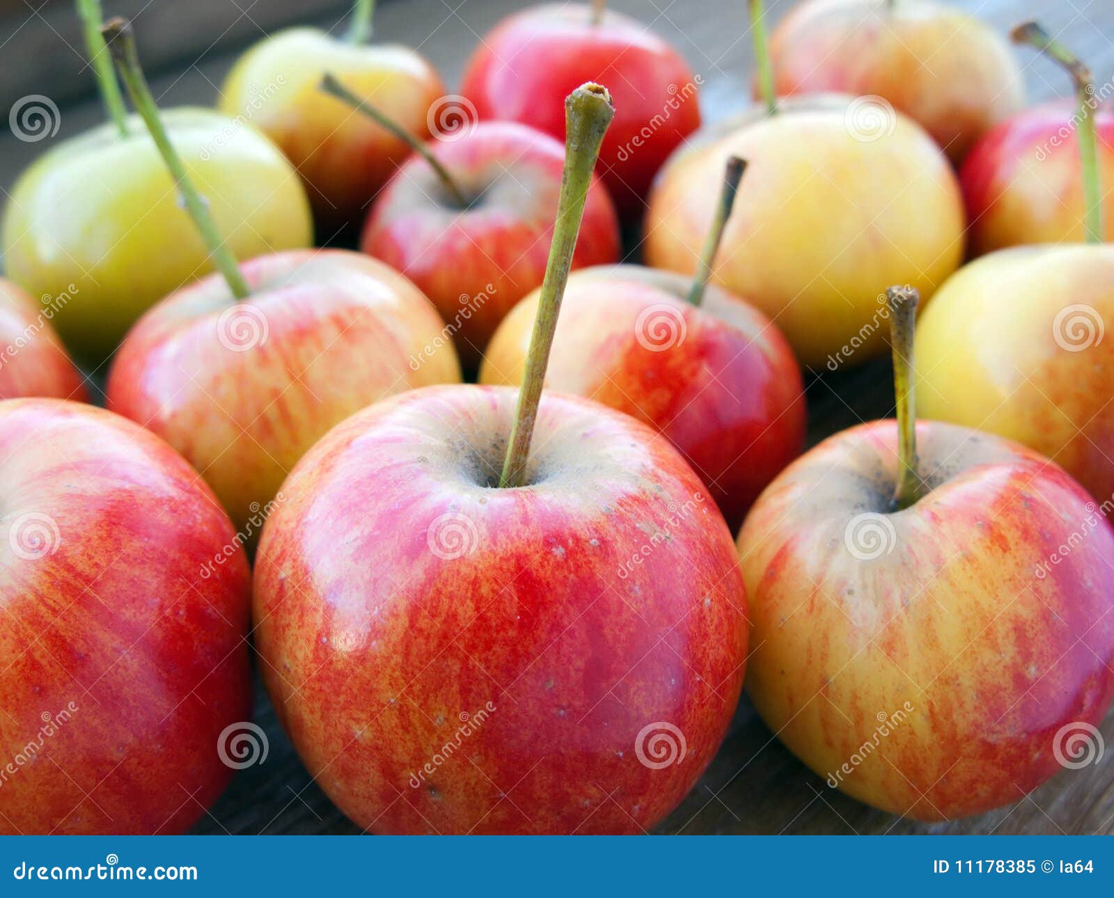 Het fruit van de appel stock afbeelding. Image of vrucht - 11178385
