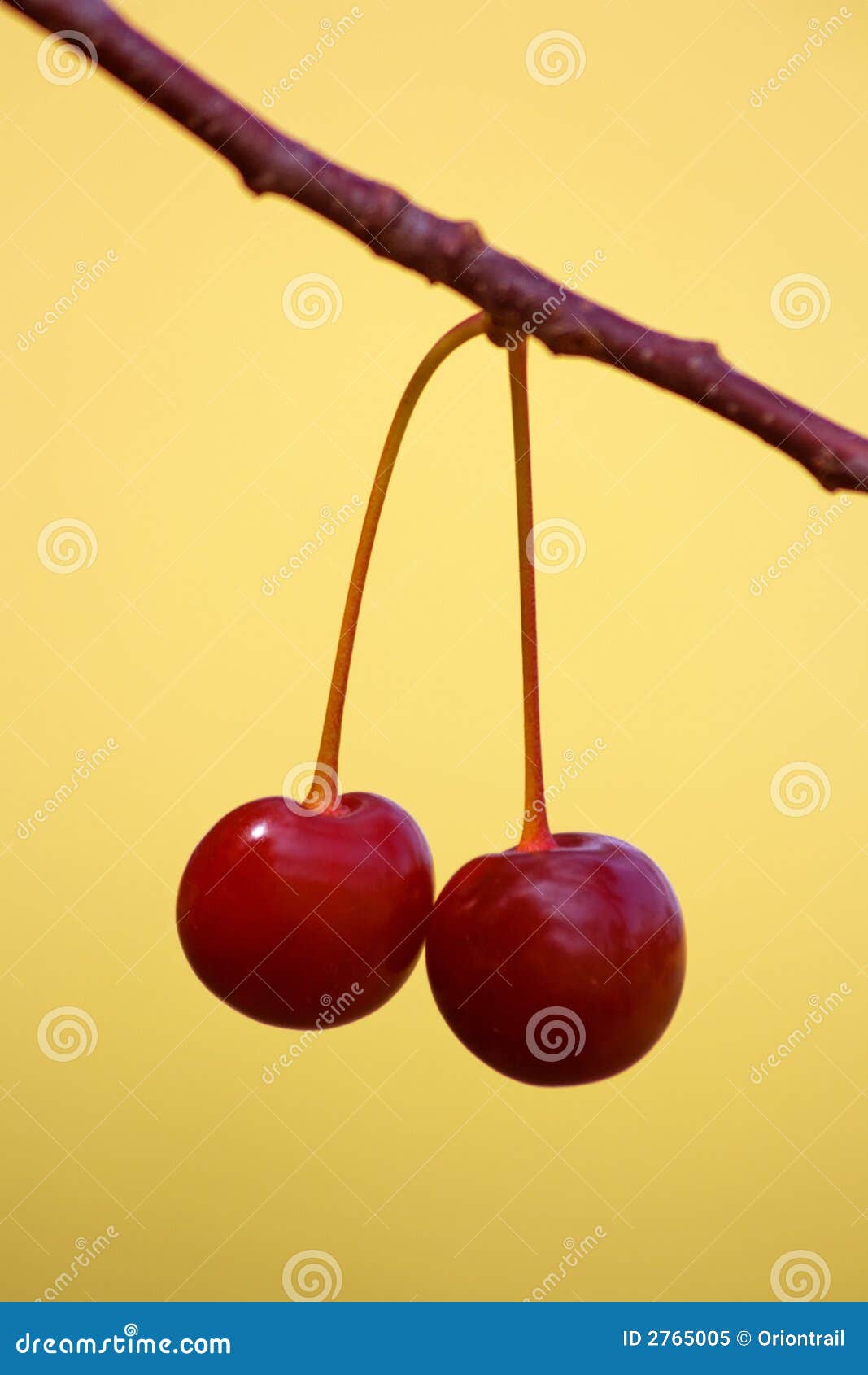 Het fruit van de kers stock afbeelding. Image of voedsel - 2765005