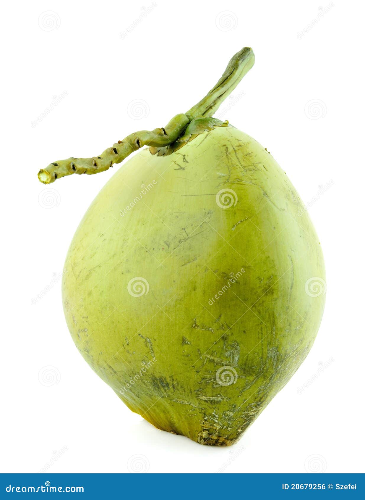 Het Fruit van de kokosnoot stock foto. Image of niemand - 20679256