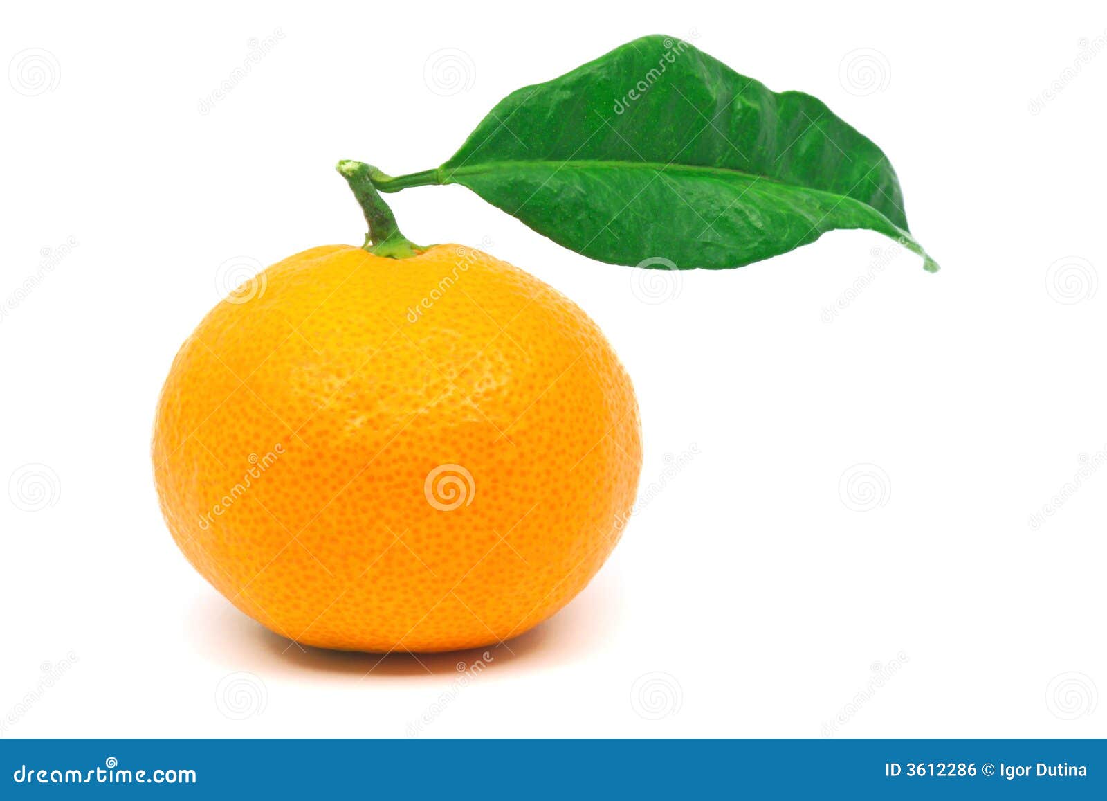 Het fruit van de mandarijn stock foto. Image of voeding - 3612286