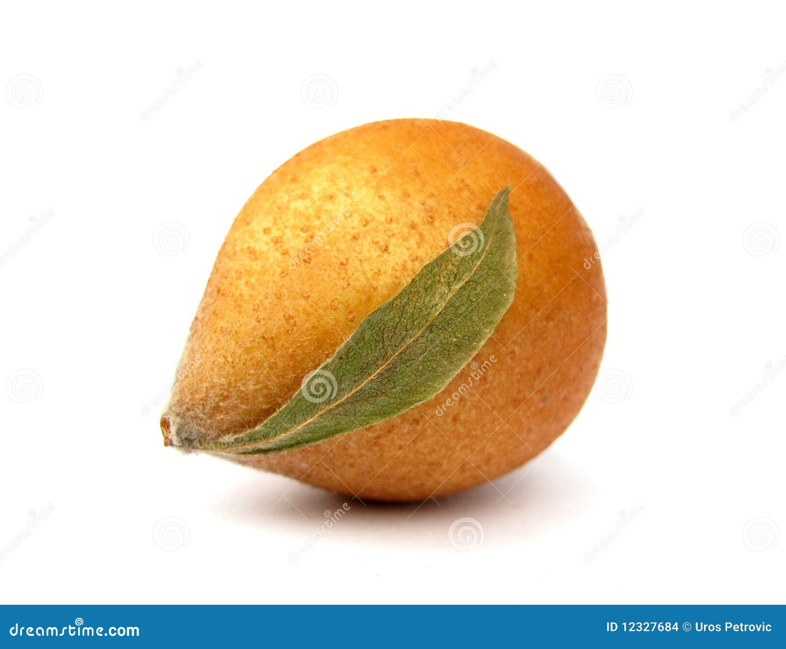 Het fruit van de mispel stock foto. Image of vrucht, blad - 12327684