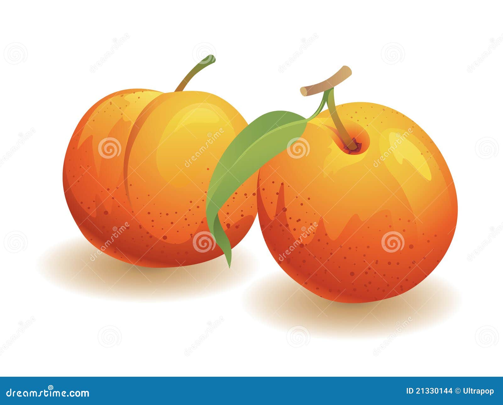 Het Fruit van de perzik vector illustratie. Illustration of nagerecht ...