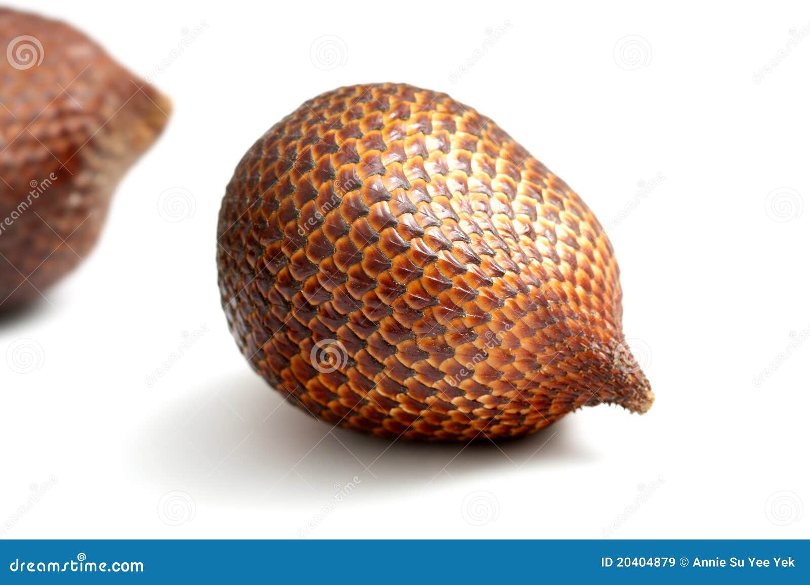 Het Fruit Van De Slang, Salak Stock Afbeelding - Image of vruchten ...