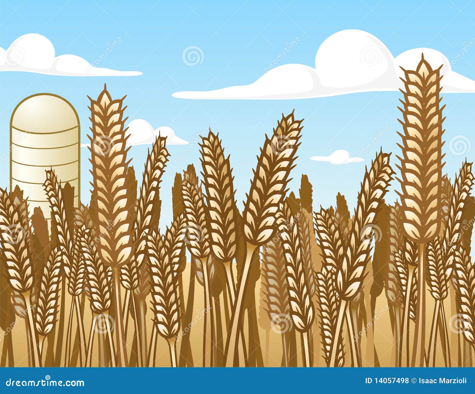 Het Gebied van de tarwe vector illustratie. Illustration of nave - 14057498