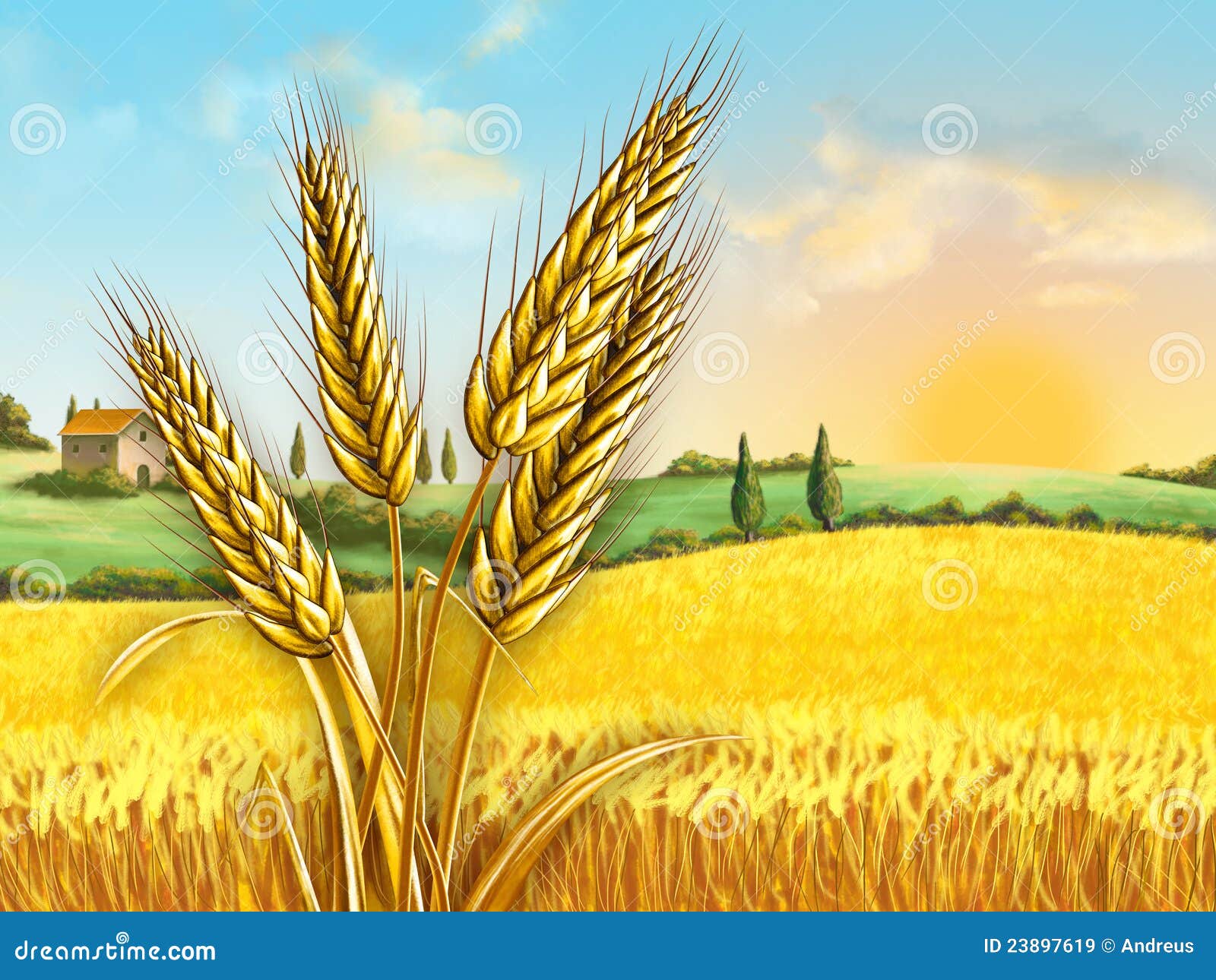 Het gebied van de tarwe stock illustratie. Illustration of gerst - 23897619