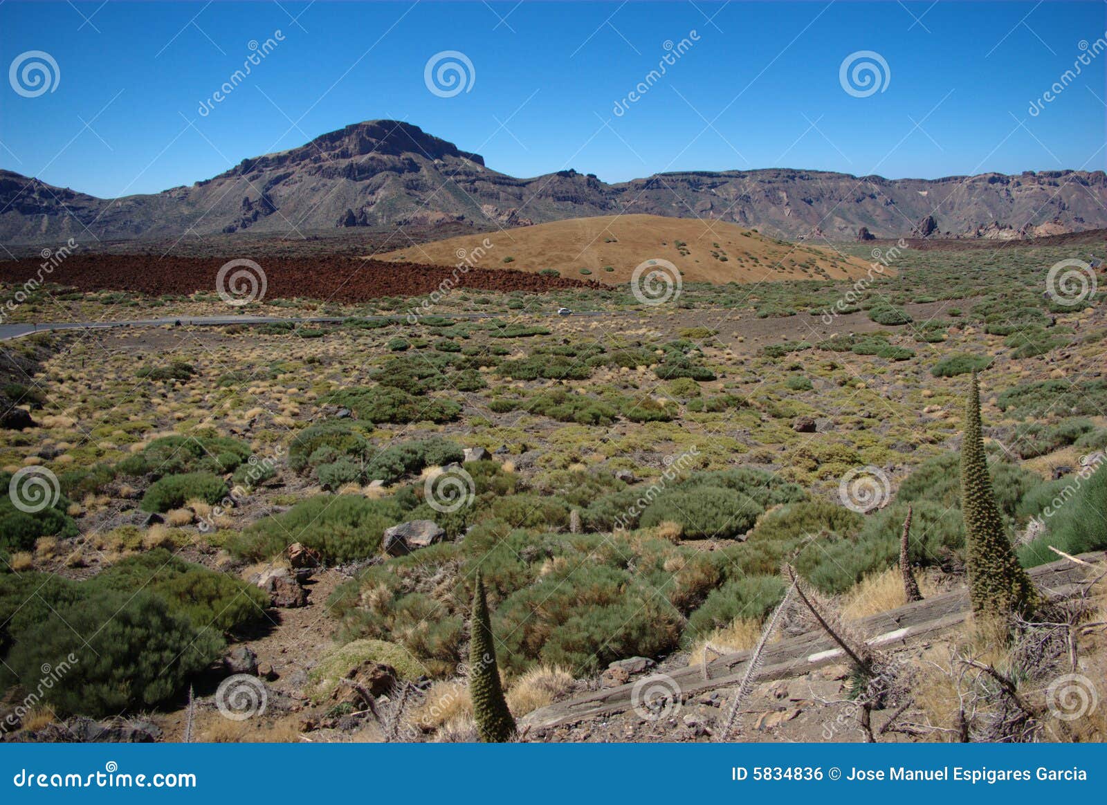 Het Gebied Van De Woestijn in Tenerife 2 Stock Foto - Image of ...