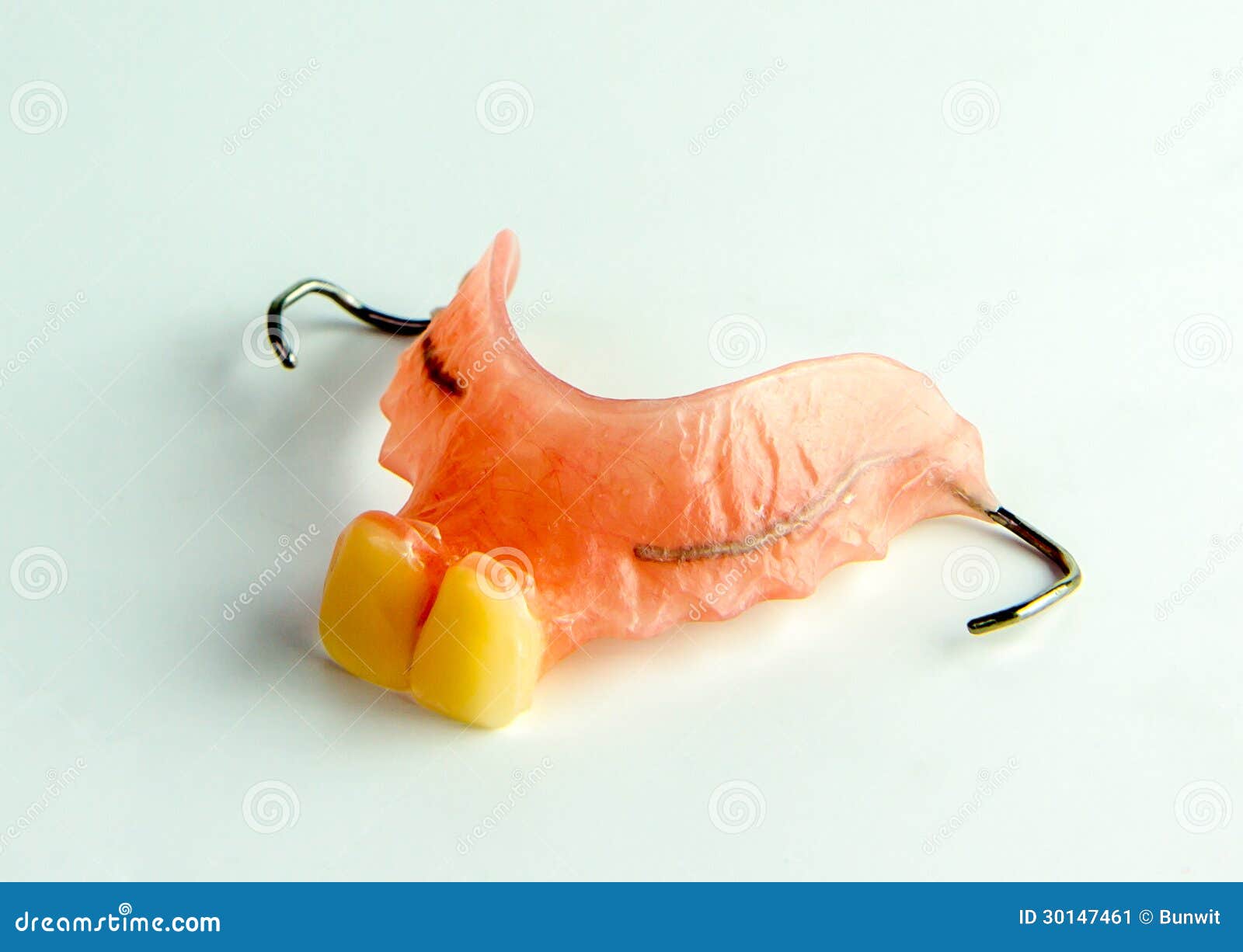 Het Gebit Van Het Konijntje Stock Afbeelding - Image of gips, gebit ...