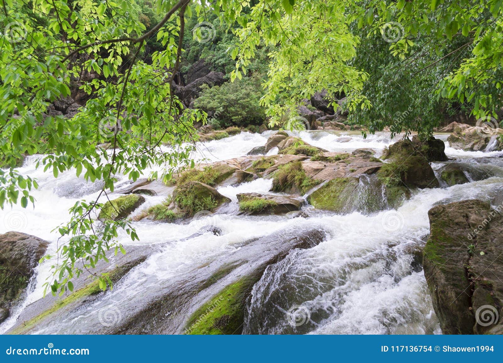 Het Gebrul Van Rivier in Bos Stock Foto - Image of regenboog, vork ...