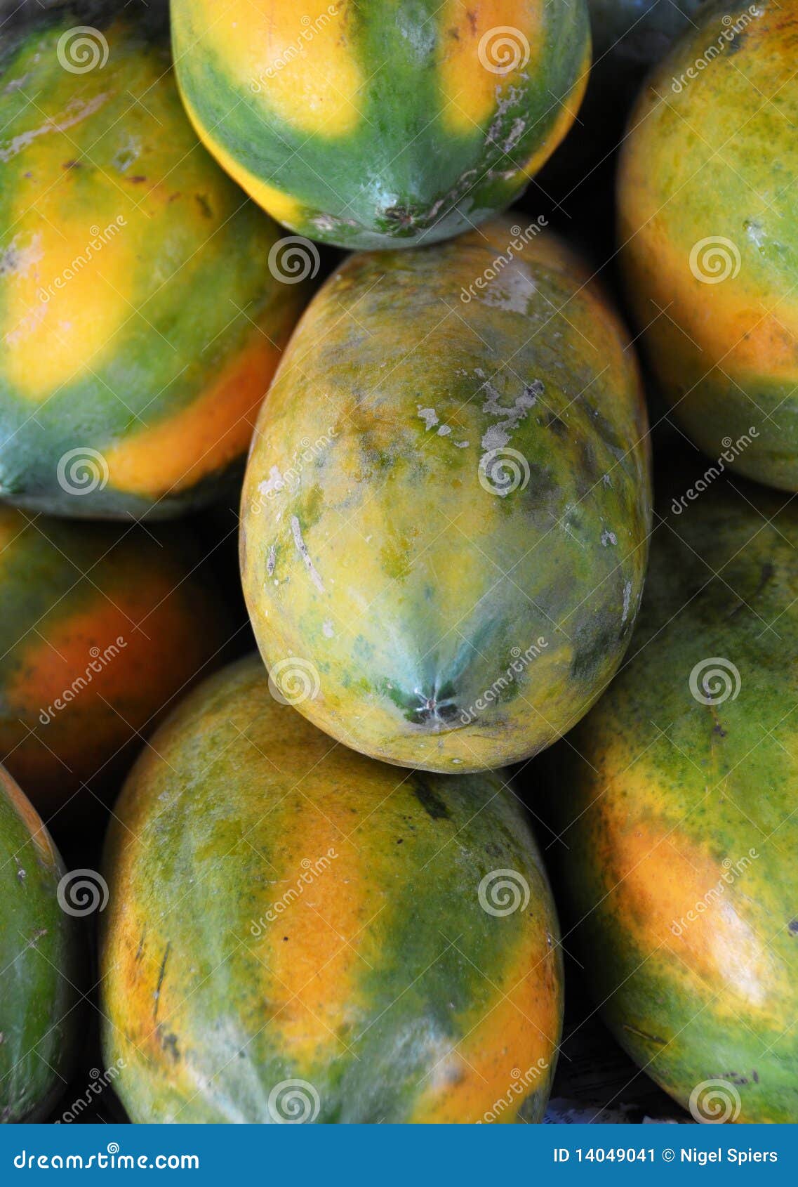 Het Gele Fruit Van De Papaja Stock Afbeelding - Image of portret ...