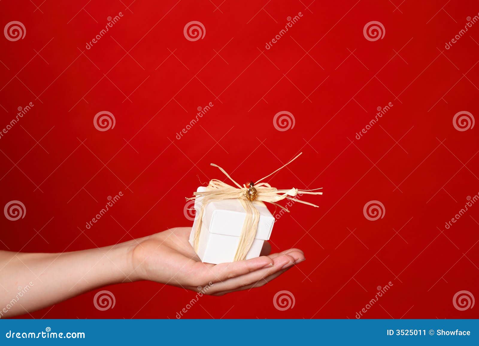 Het geven van een heden stock afbeelding. Image of seizoen - 3525011