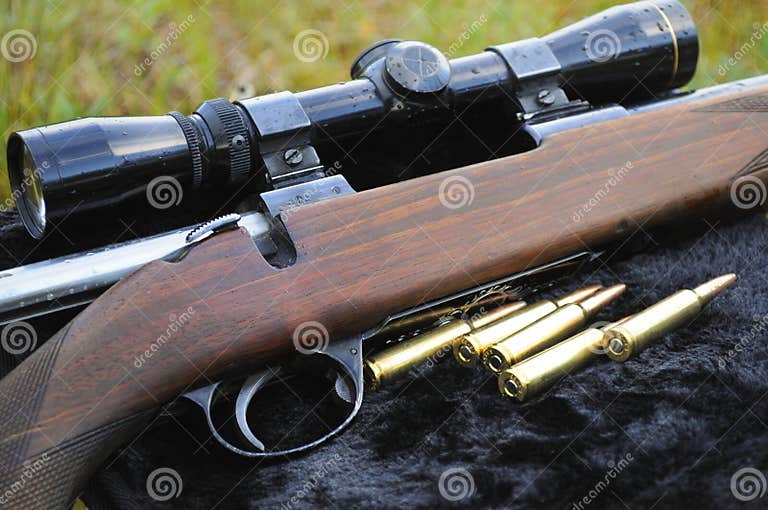 Het geweer van jagers stock afbeelding. Image of kaliber - 20942517