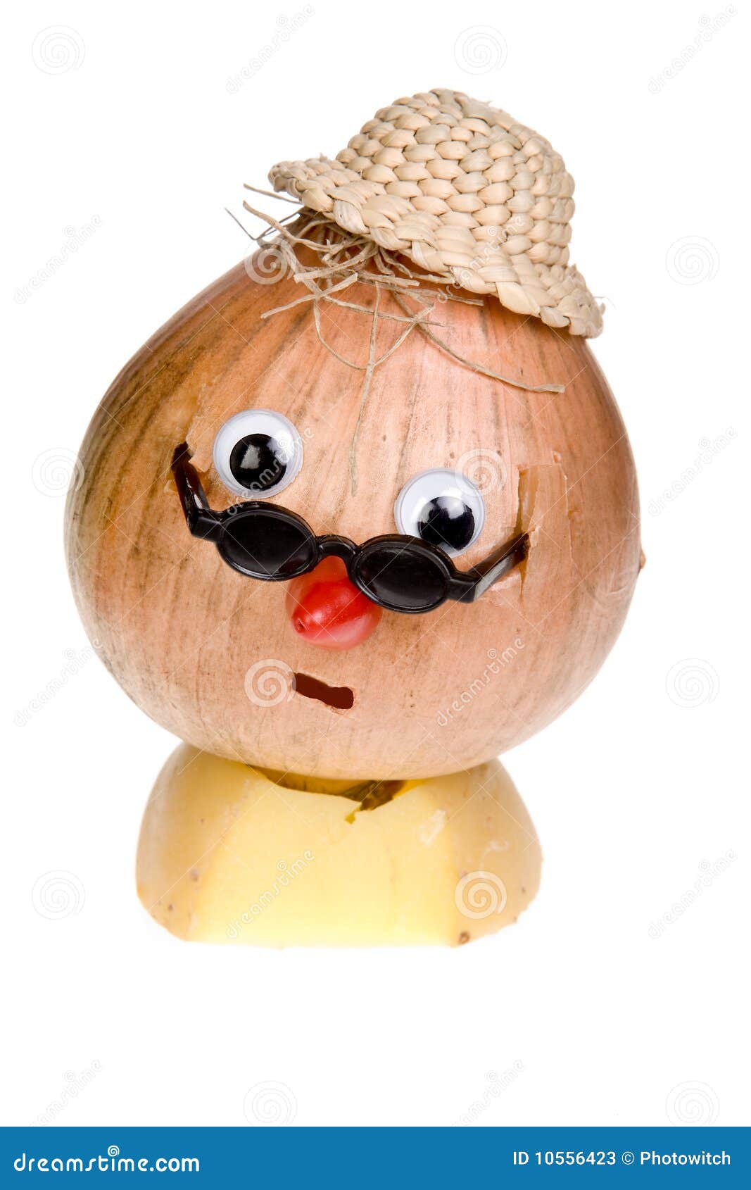 Het gezicht van de ui stock afbeelding. Image of plantaardig - 10556423