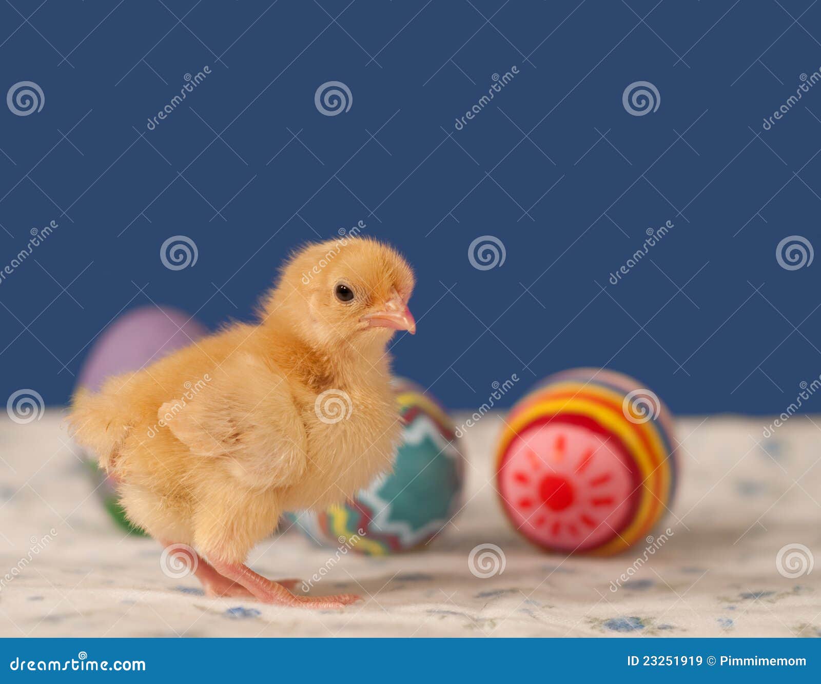 Het Goud Gekleurde Kuiken Van Pasen Met Eieren Stock Afbeelding - Image ...